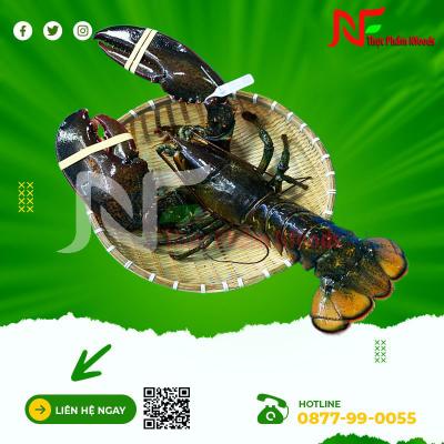 Sỉ lẻ Tôm Hùm Alaska Nhỏ size 450g- 550g/con